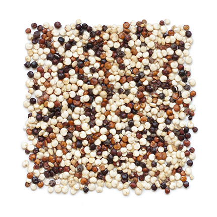 Products Details || Tri-Colored-Quinoa.html