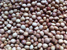 Products Details || Pigeon Beans