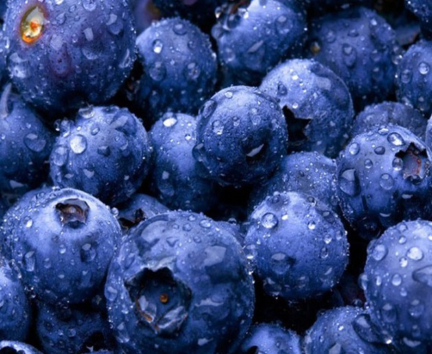 Products Details || Blue-berry.html
