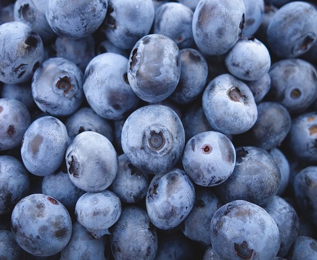 Products Details || Blue-berry.html