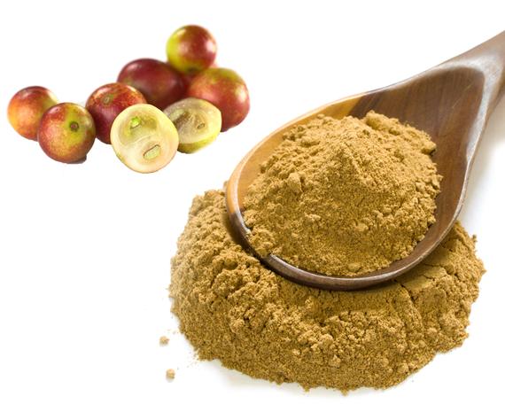 Products Details || Camu-Camu-Powder.html