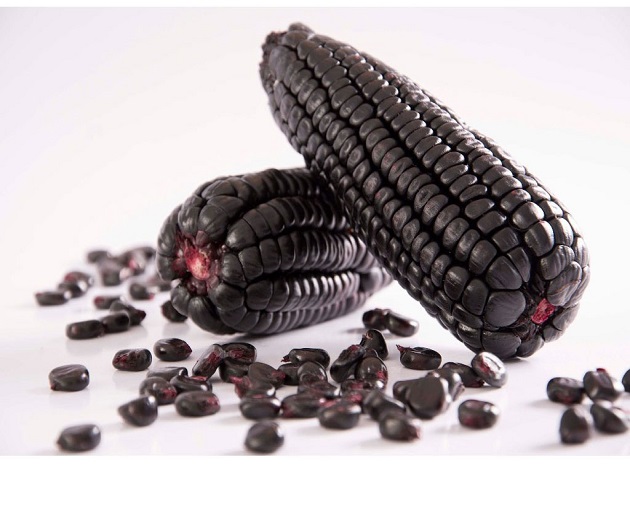 Products Details || Purple-Corn-Powder.html